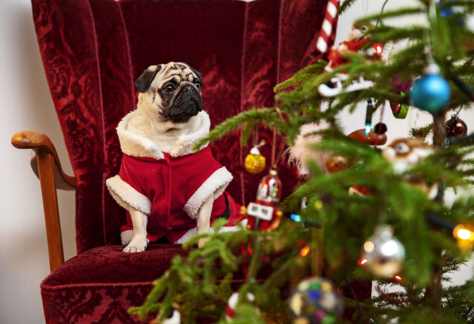 Las 20 mejores tradiciones navideñas de todo el mundo